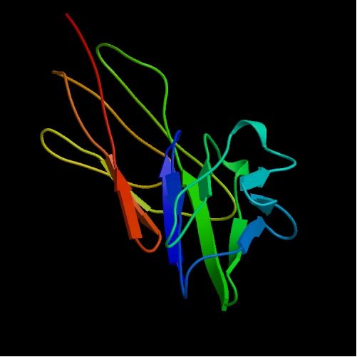 molecular biology webpage